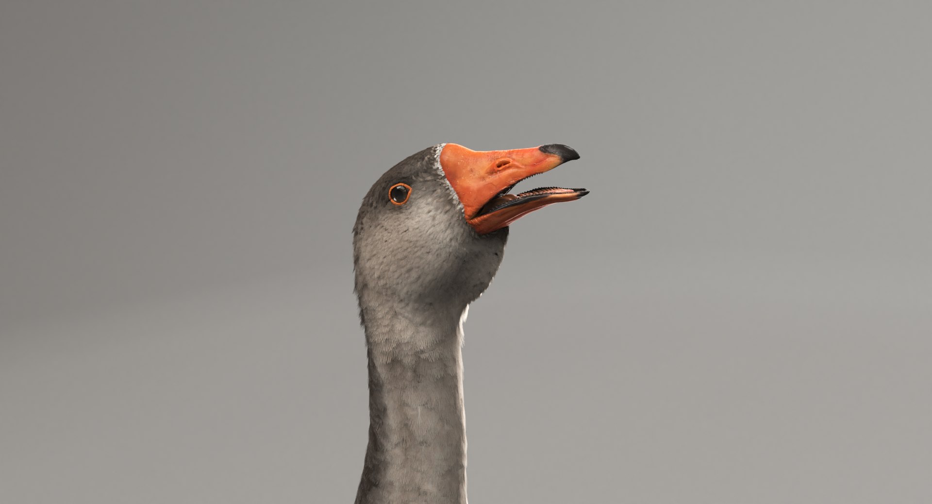 Goose Rigged Animate Model - TurboSquid 1399175