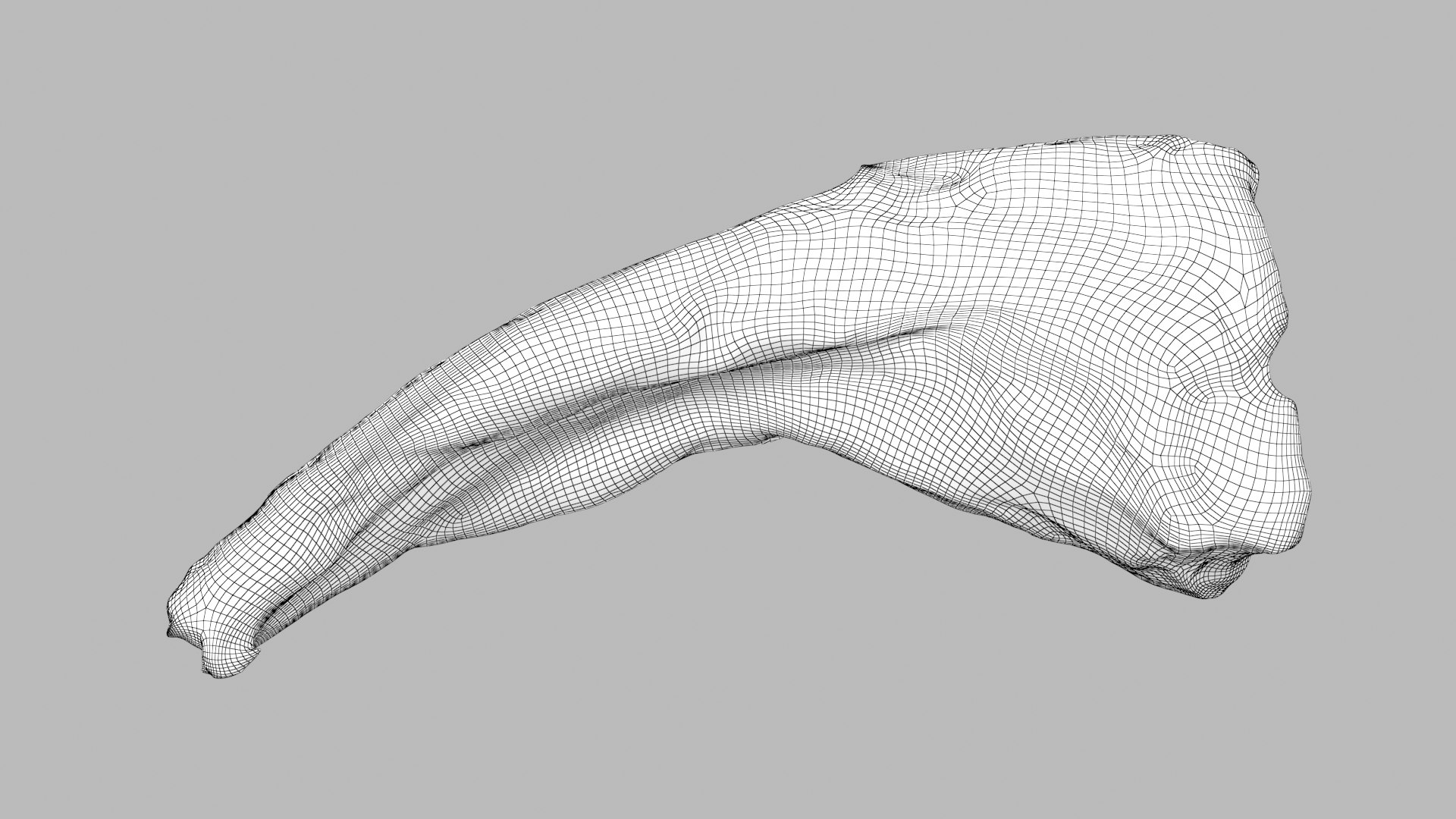 Raw meat pork beef 3D model - TurboSquid 1590046