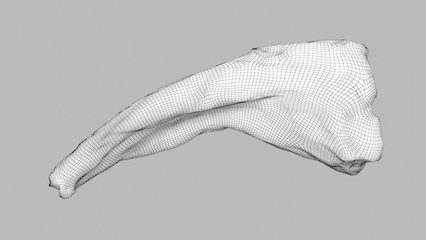 Raw meat pork beef 3D model - TurboSquid 1590046