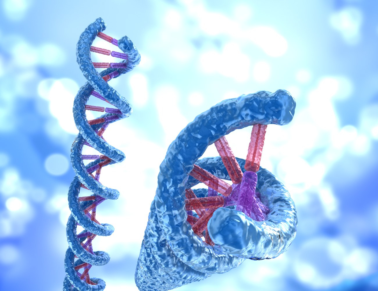 dna molecule concept human anatomy 3d max