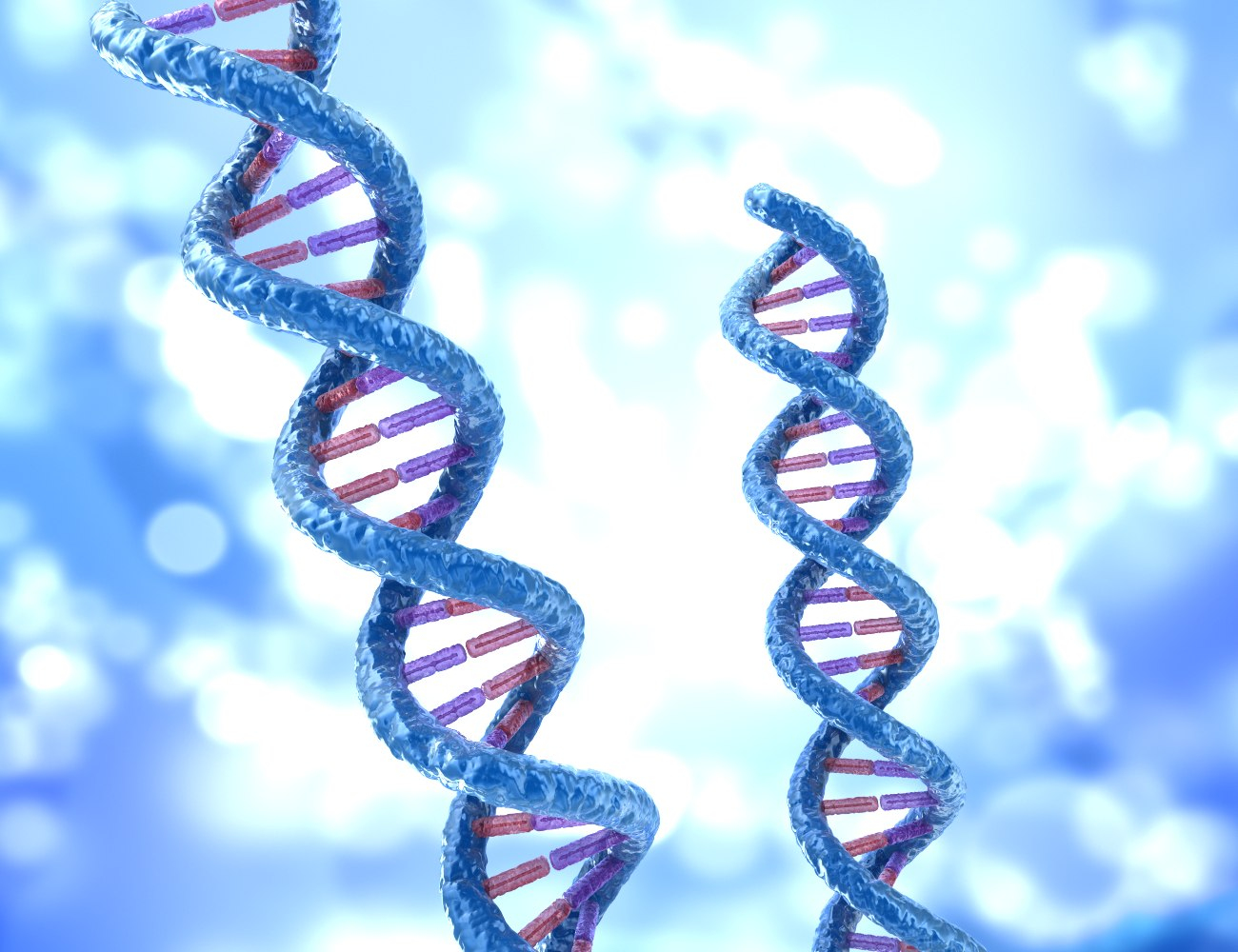 dna molecule concept human anatomy 3d max