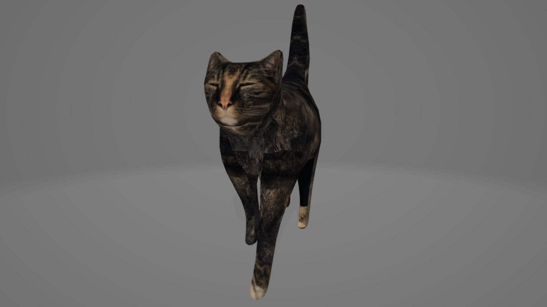 Free 3D Model Cat - TurboSquid 2068396