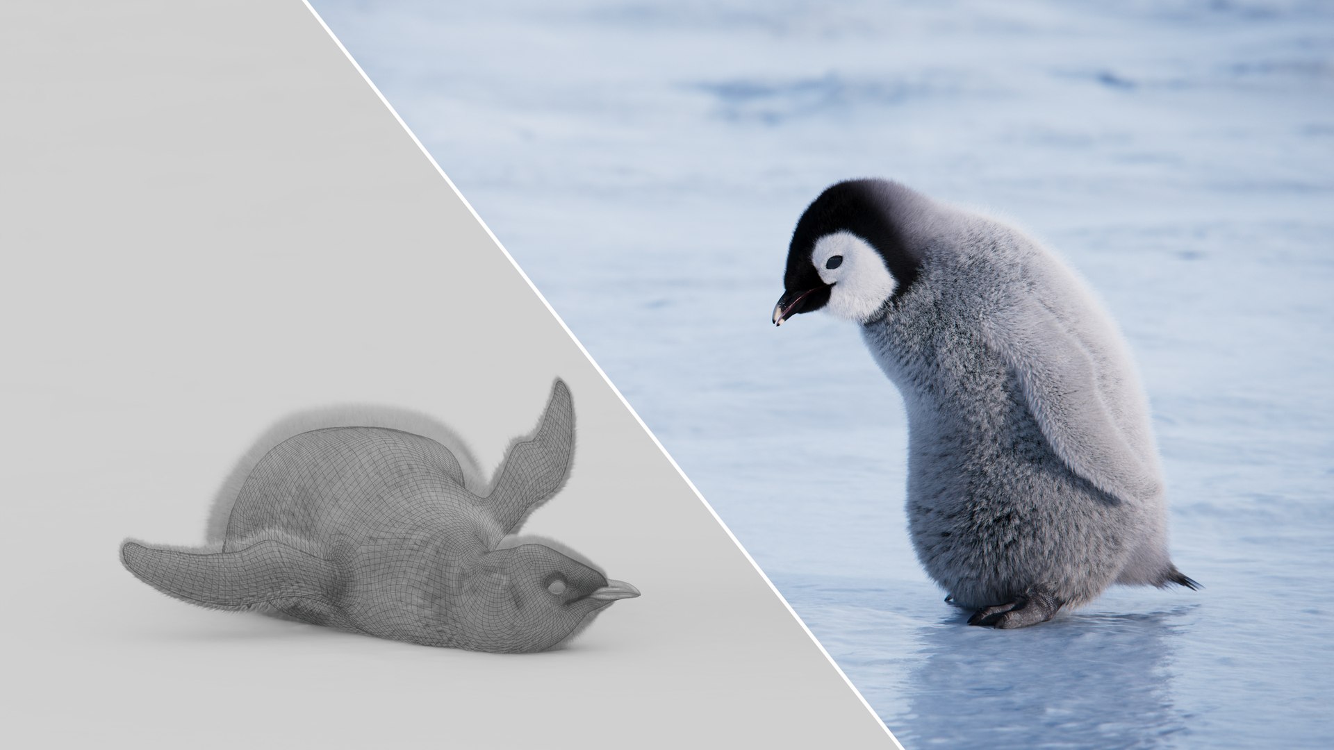 3D Baby Emperor Penguin Animated Model - TurboSquid 2078935