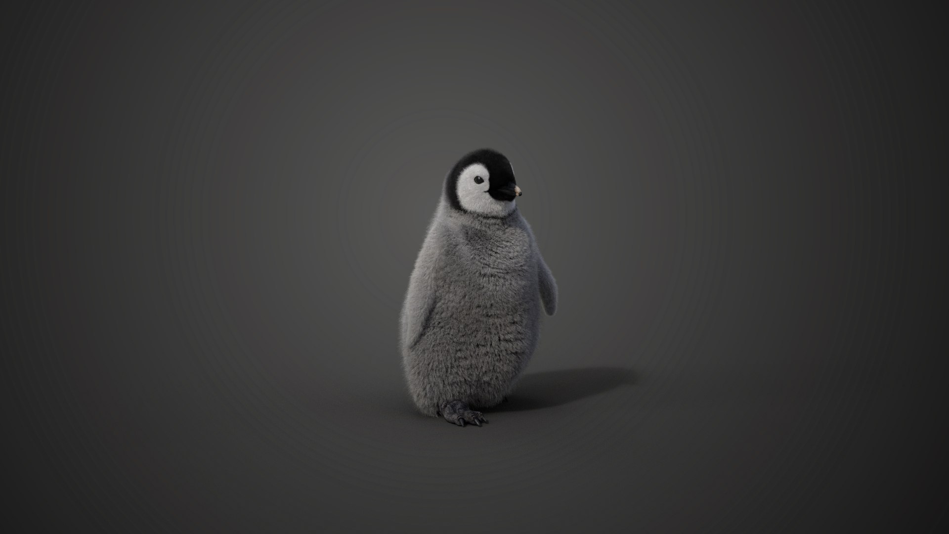 3D Baby Emperor Penguin Animated Model - TurboSquid 2078935
