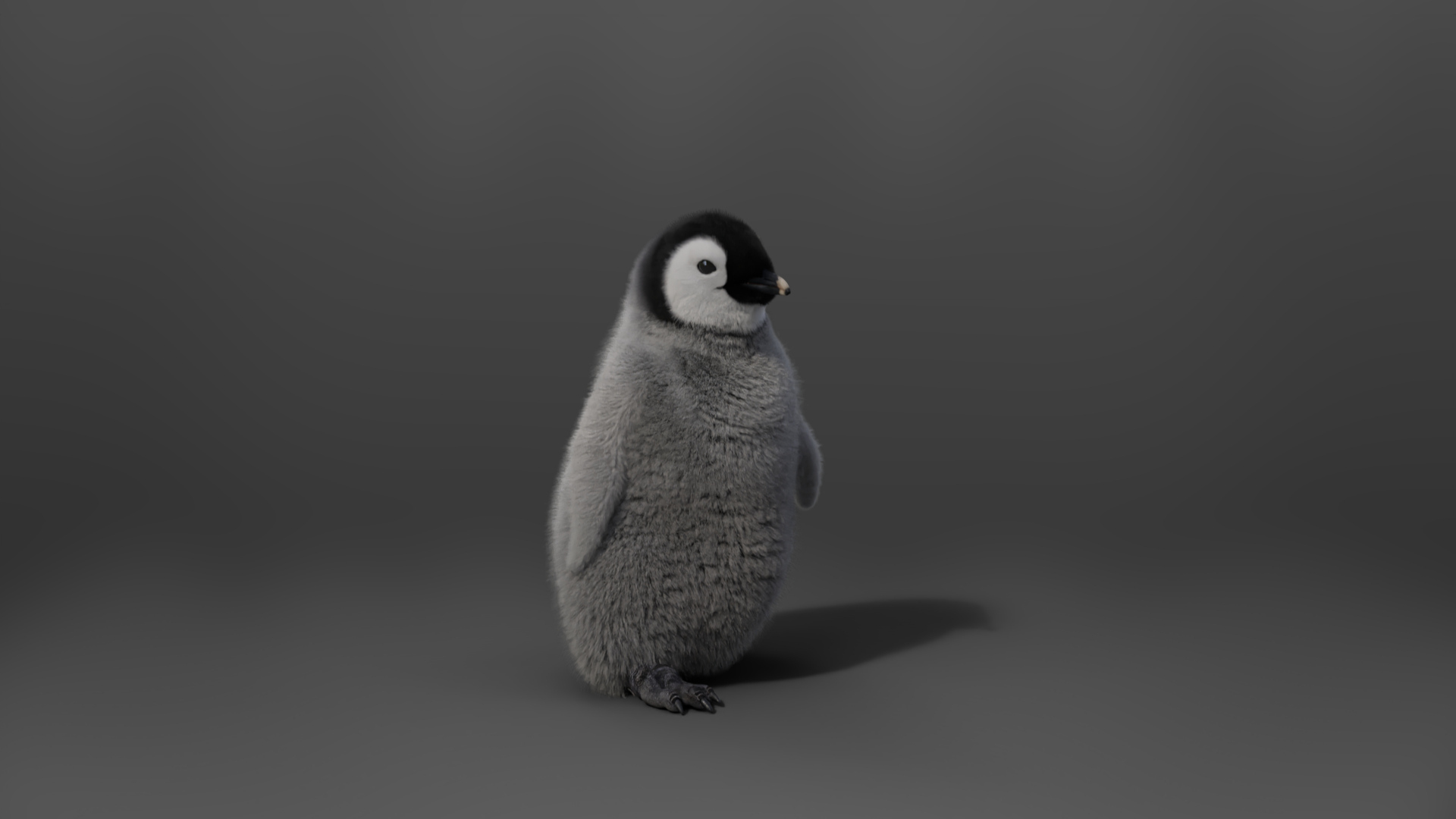 3D Baby Emperor Penguin Animated Model - TurboSquid 2078935