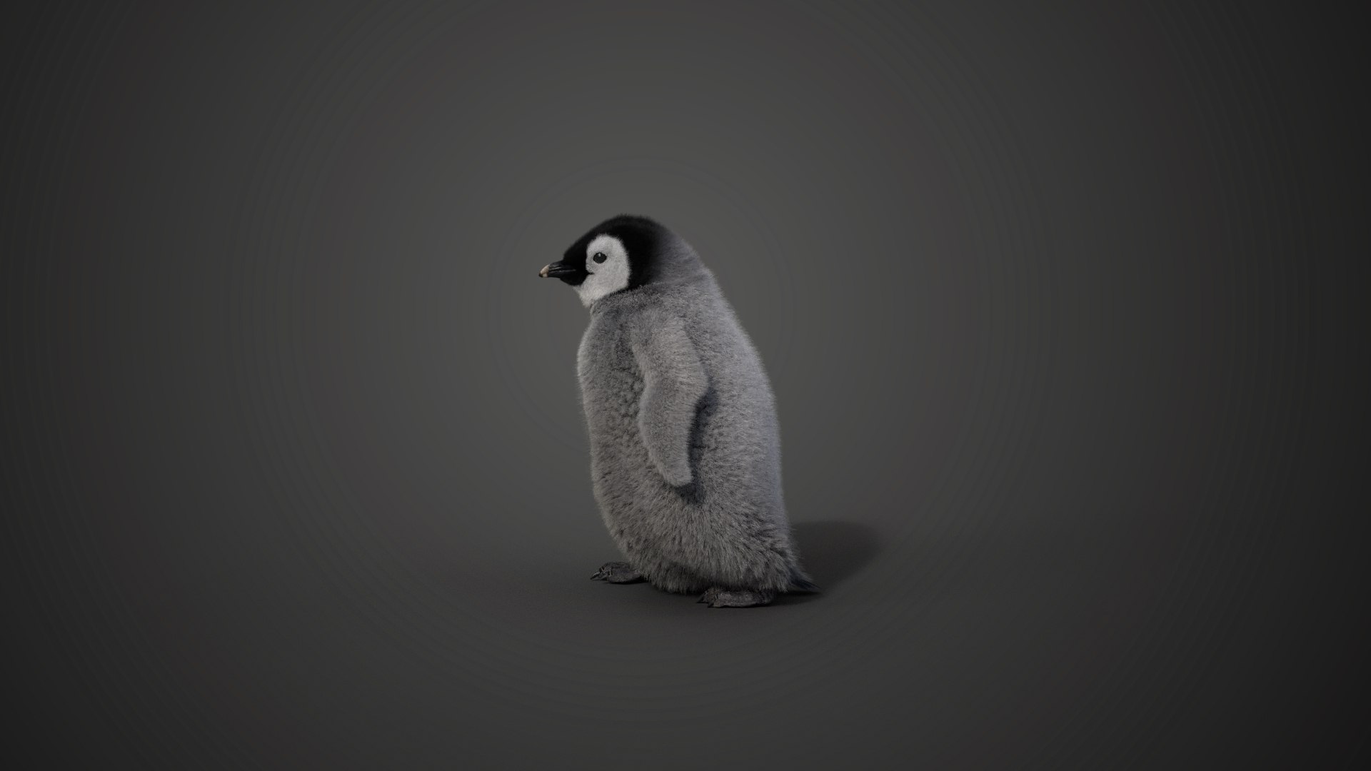 3D Baby Emperor Penguin Animated Model - TurboSquid 2078935