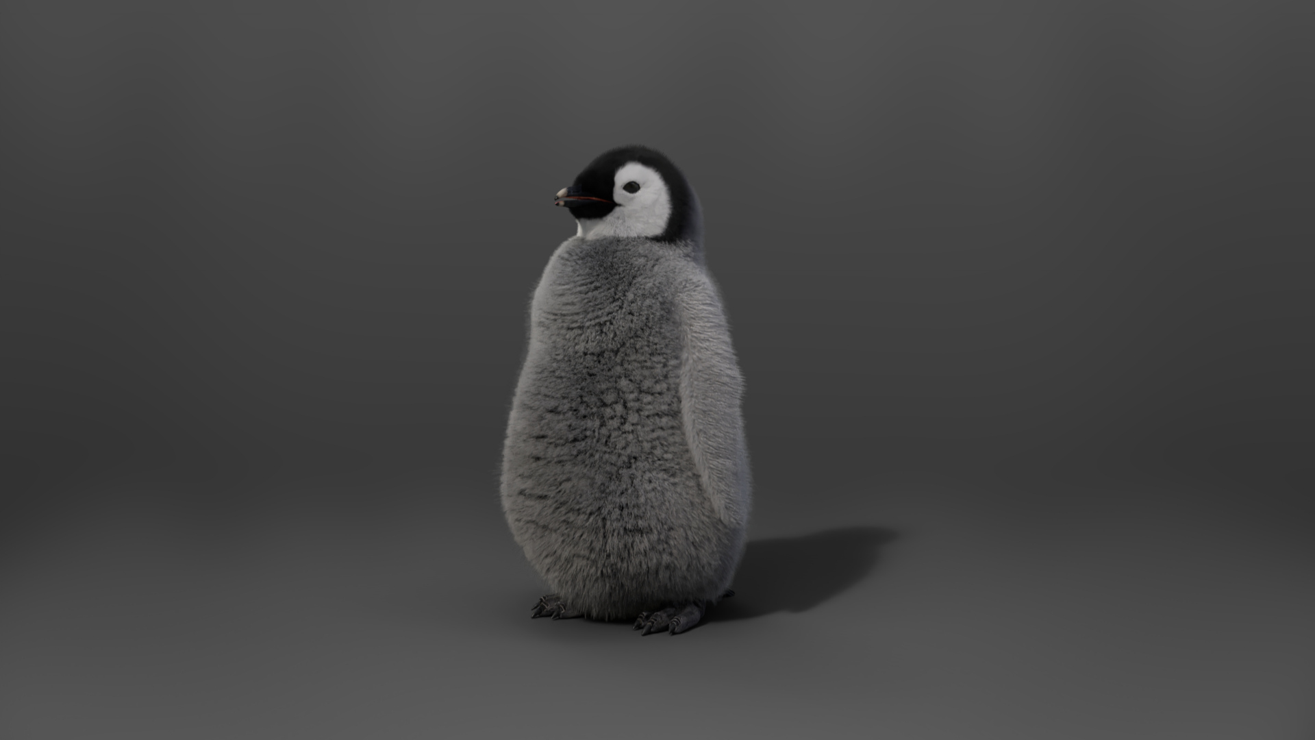 3D Baby Emperor Penguin Animated model - TurboSquid 2078935