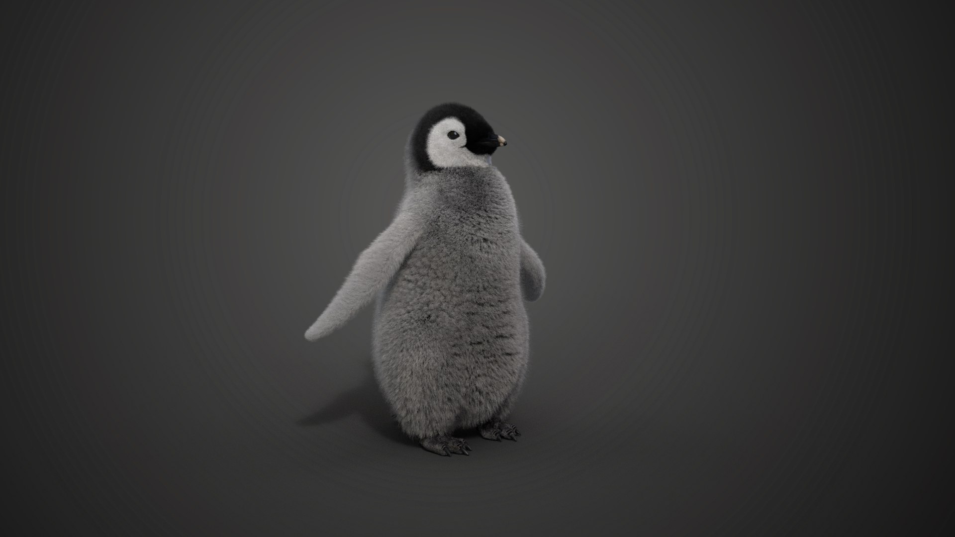 3D Baby Emperor Penguin Animated Model - TurboSquid 2078935