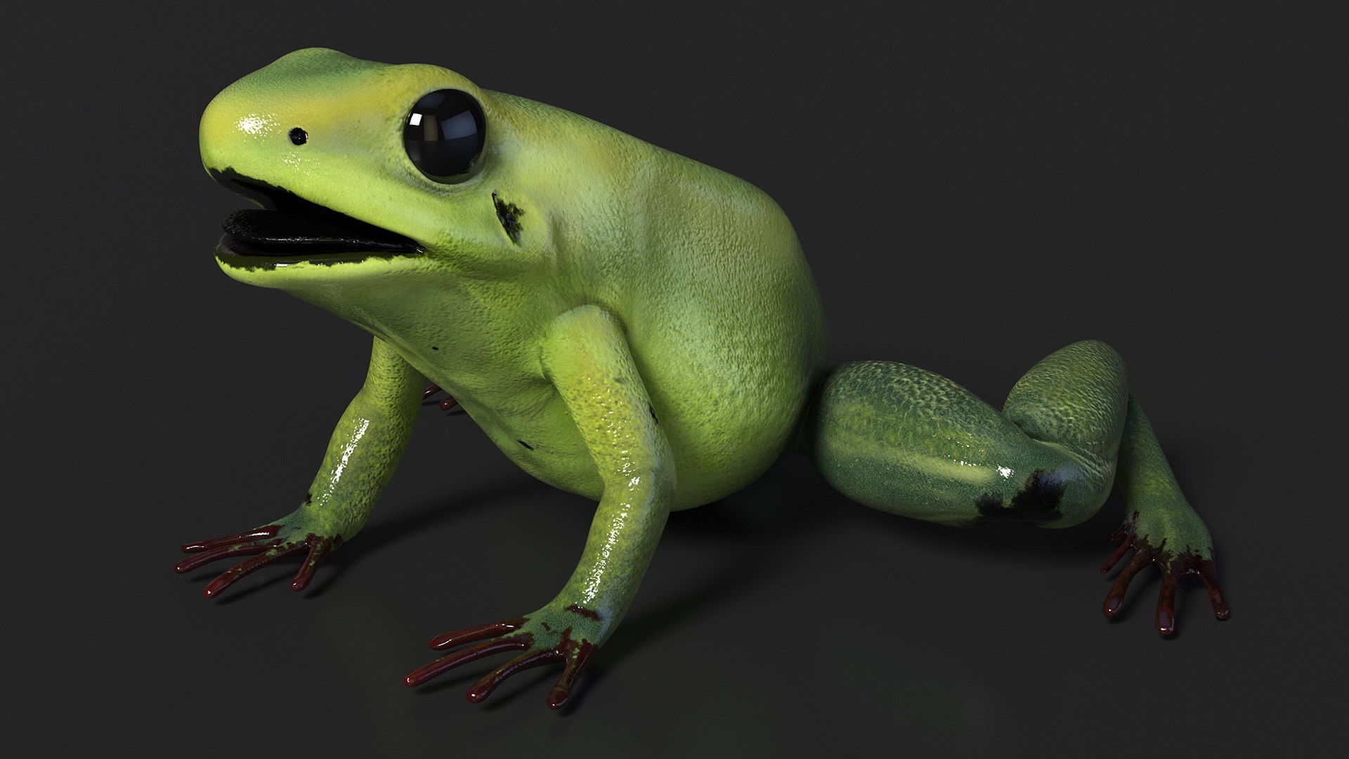 3D Green Morph Dart Frog Rigged Model - TurboSquid 2185967