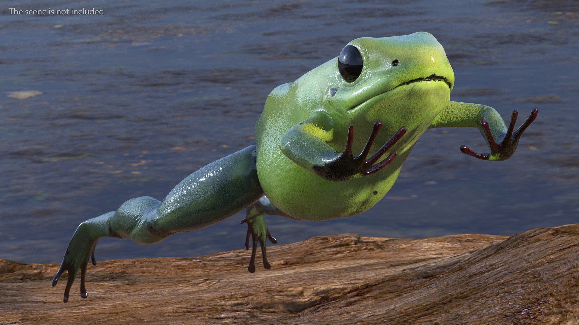 3D Green Morph Dart Frog Rigged Model - TurboSquid 2185967