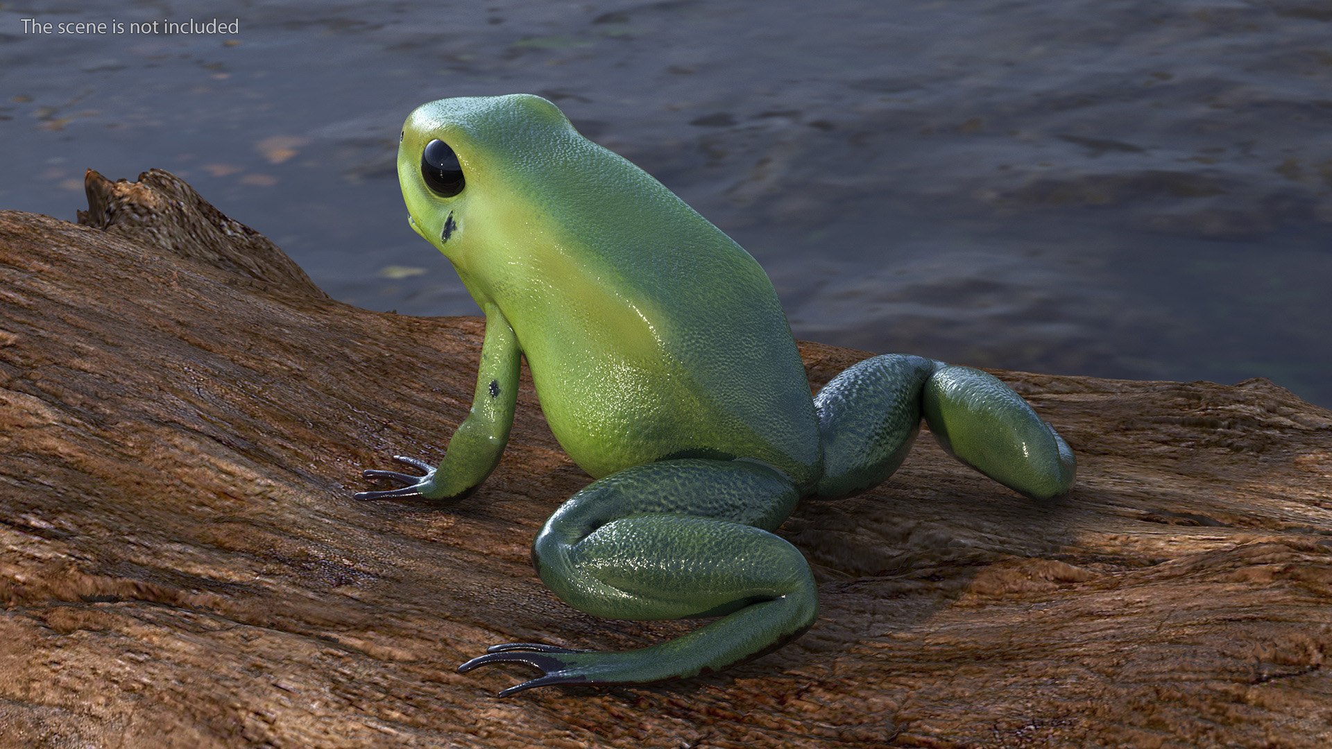3D Green Morph Dart Frog Rigged Model - TurboSquid 2185967