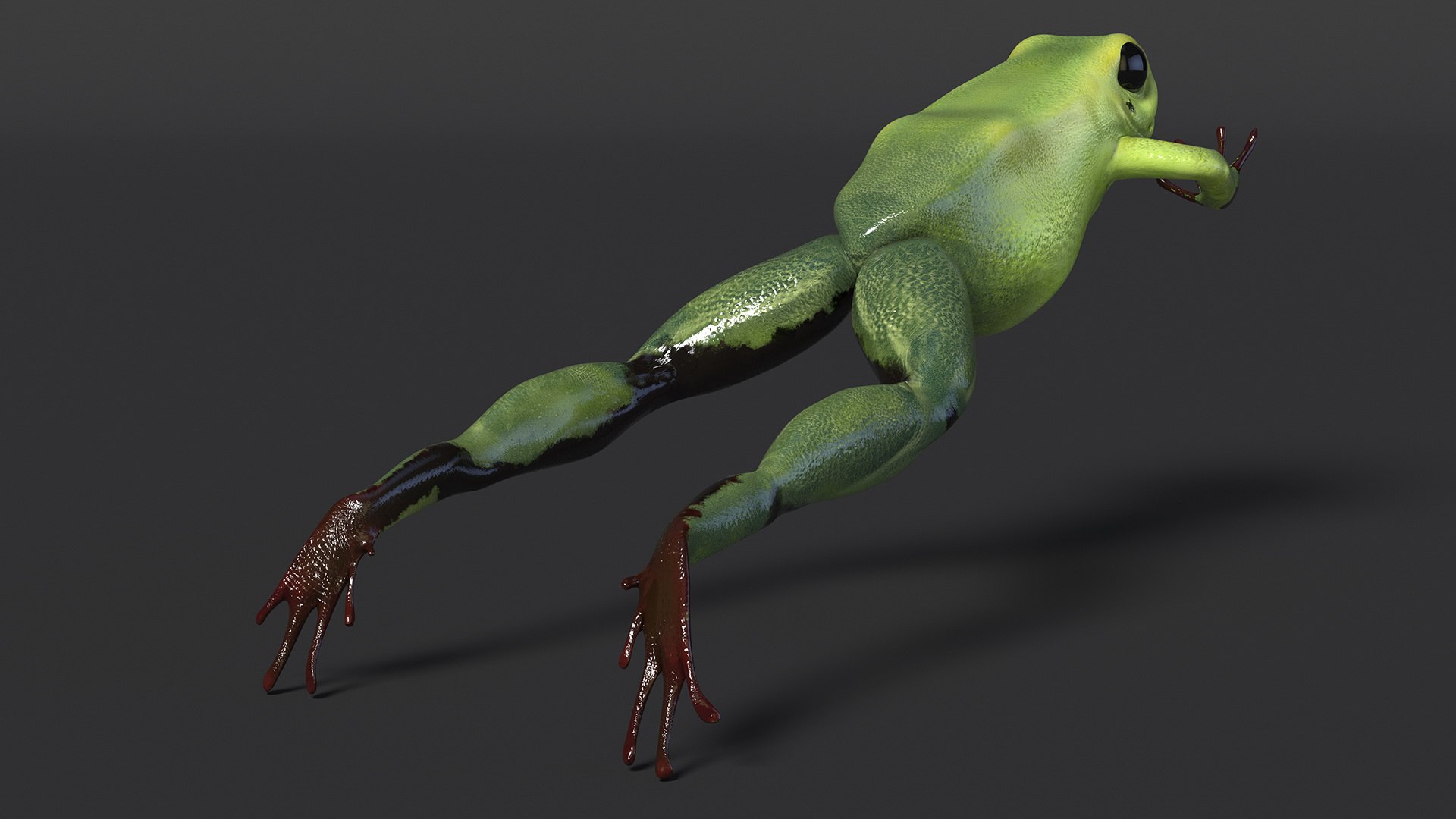 3D Green Morph Dart Frog Rigged Model - TurboSquid 2185967