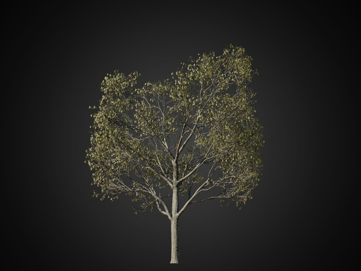 HeliosVegetation Vol1 Autumn - Leafless Tree Pack 3D Model - TurboSquid ...