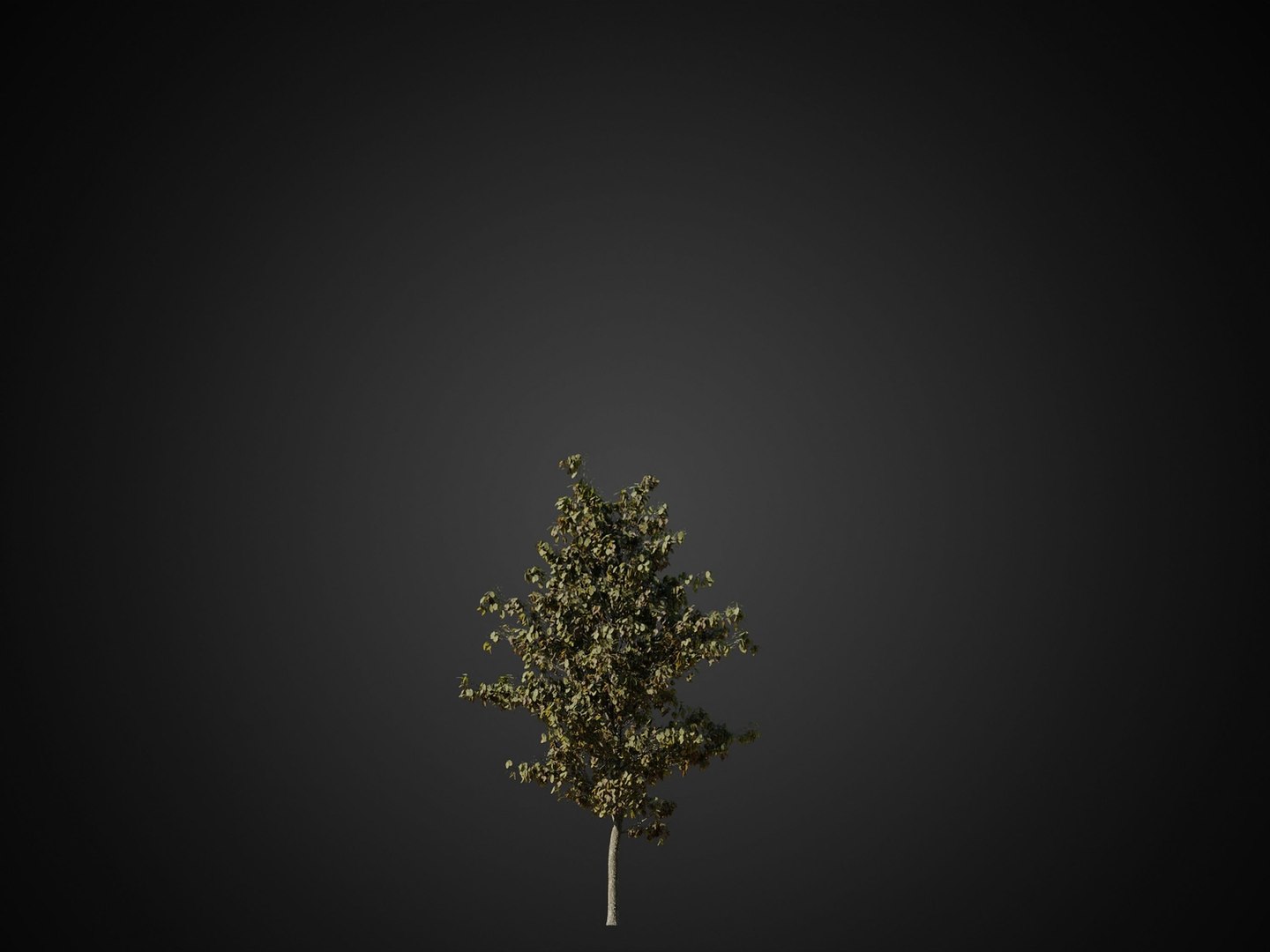 HeliosVegetation vol1 Autumn - leafless tree pack 3D model - TurboSquid ...