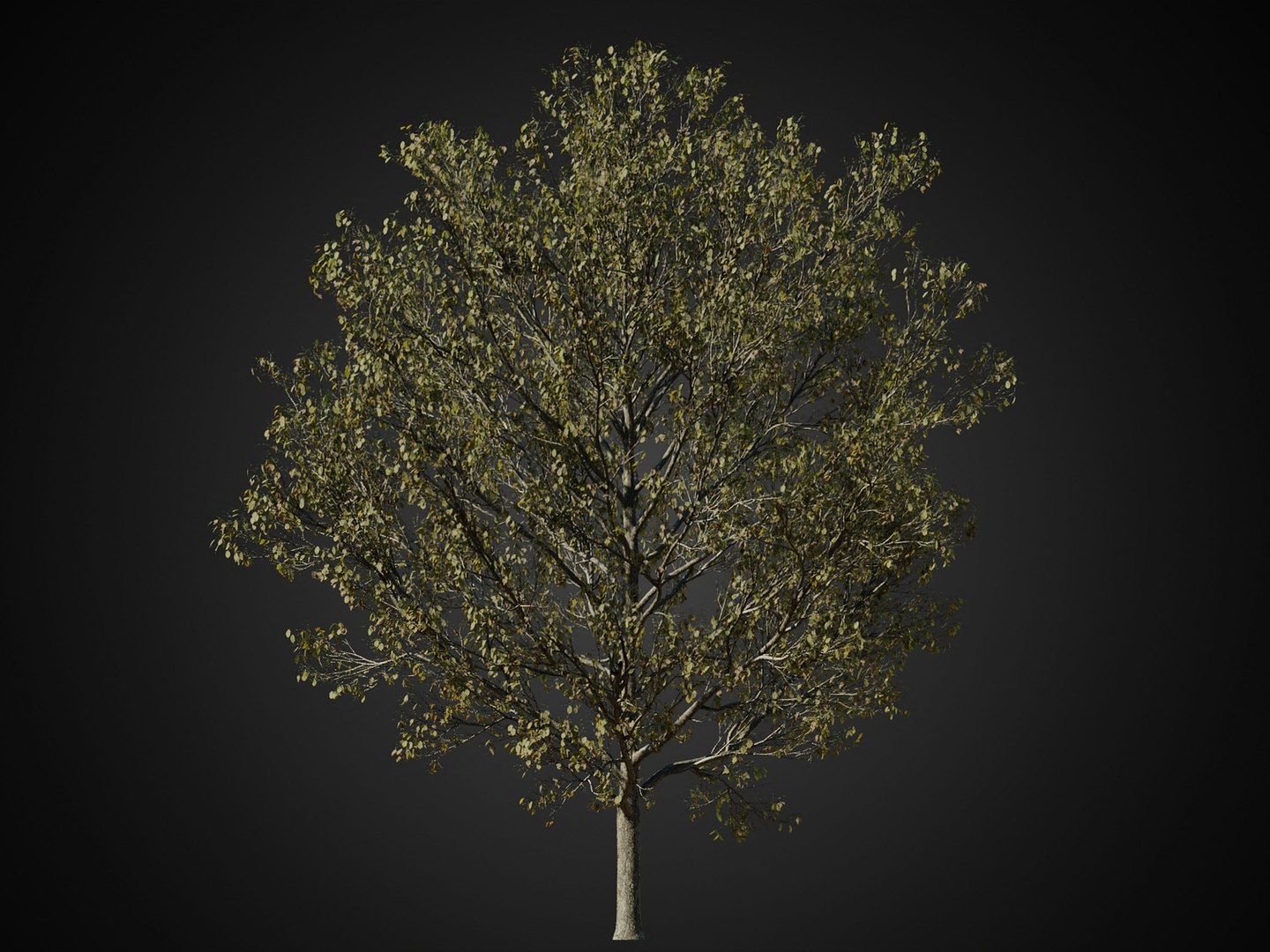 HeliosVegetation Vol1 Autumn - Leafless Tree Pack 3D Model - TurboSquid ...