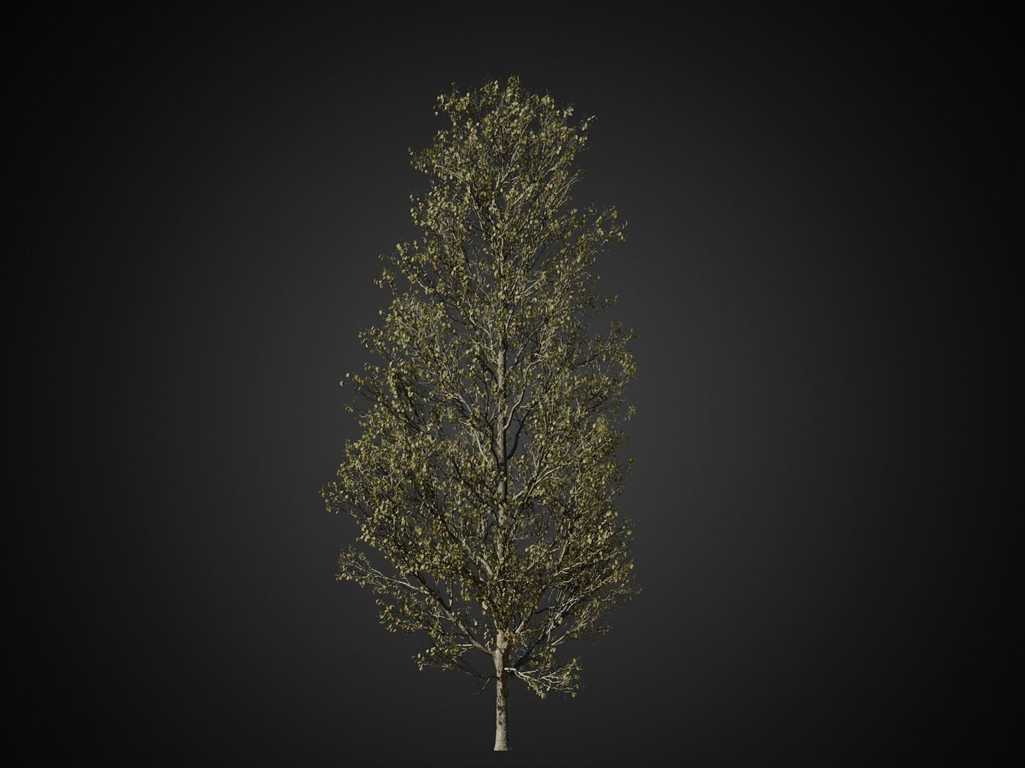 HeliosVegetation Vol1 Autumn - Leafless Tree Pack 3D Model - TurboSquid ...