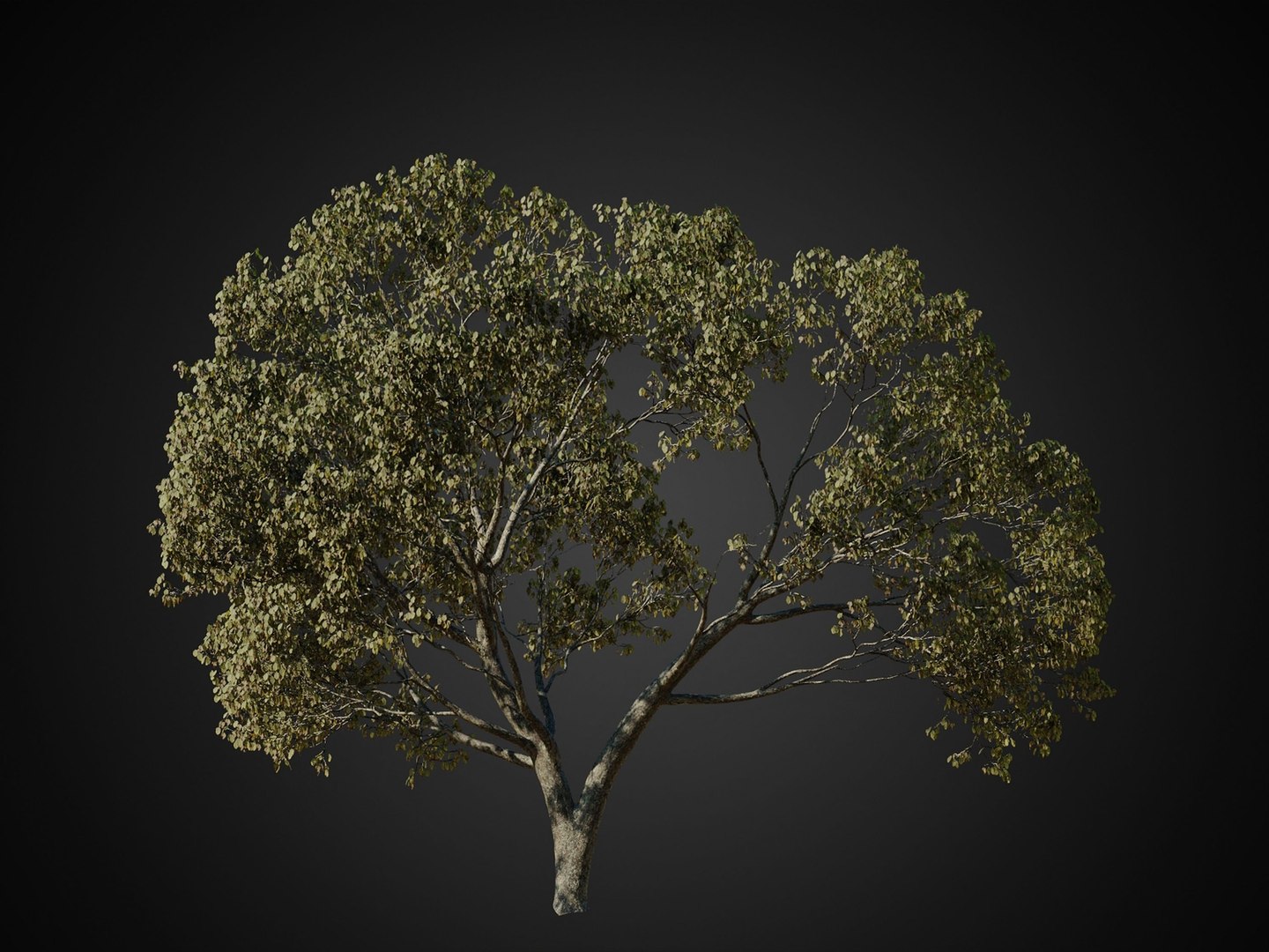 HeliosVegetation Vol1 Autumn - Leafless Tree Pack 3D Model - TurboSquid ...
