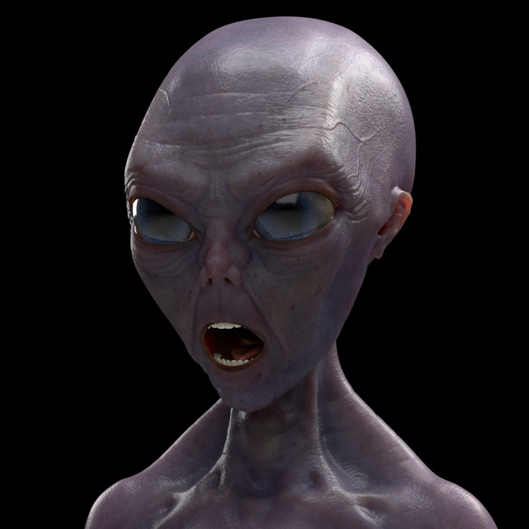 Grey Alien 3D Model - TurboSquid 1451396