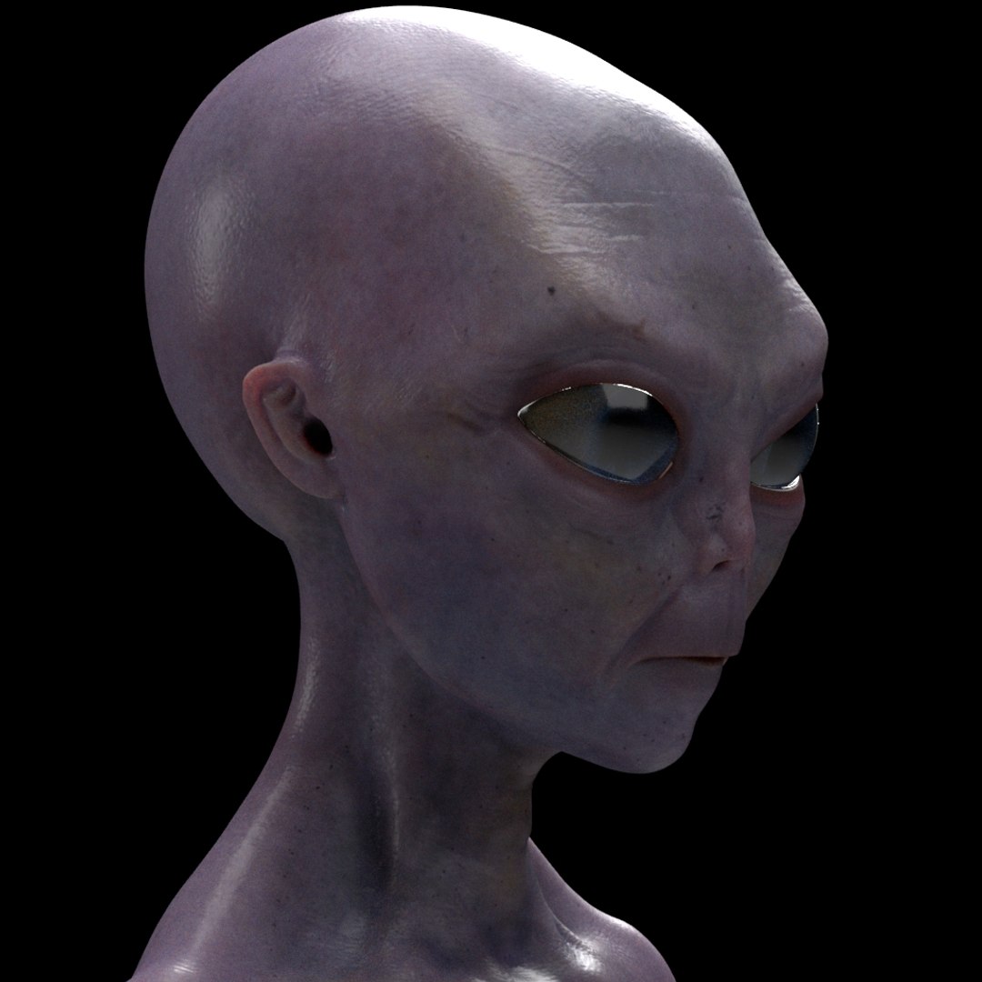 Grey Alien 3D Model - TurboSquid 1451396