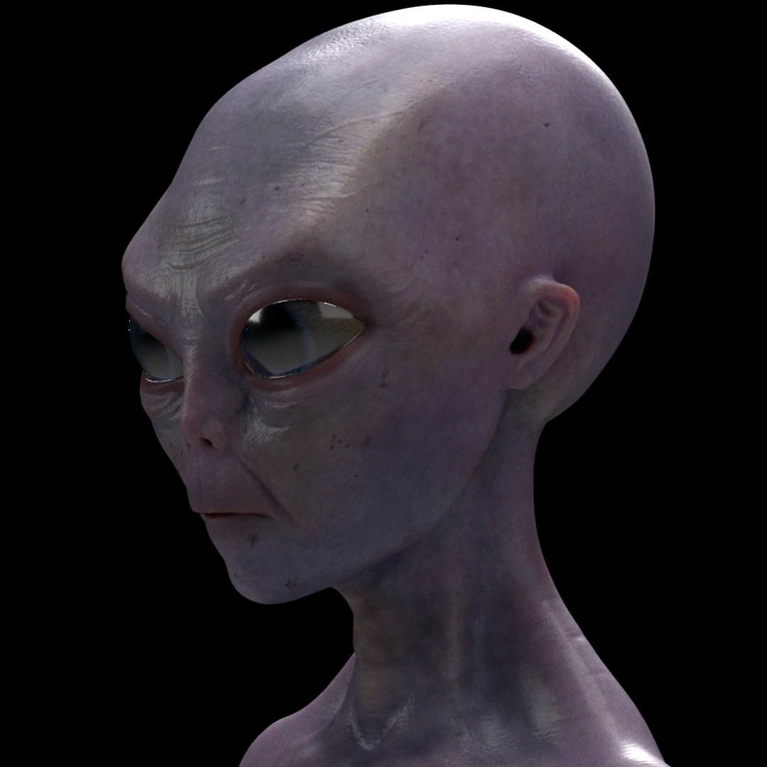 Grey Alien 3D Model - TurboSquid 1451396