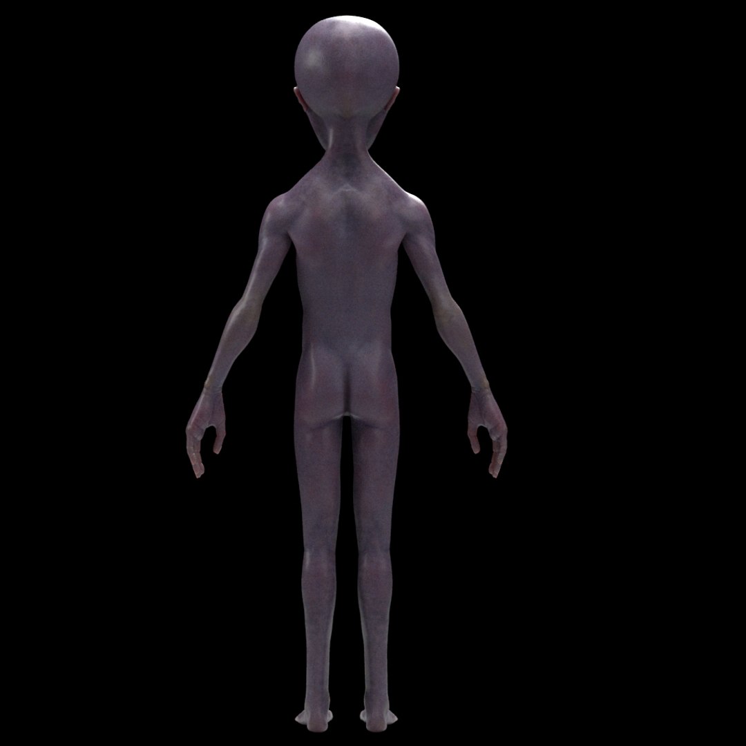 Grey Alien 3D Model - TurboSquid 1451396