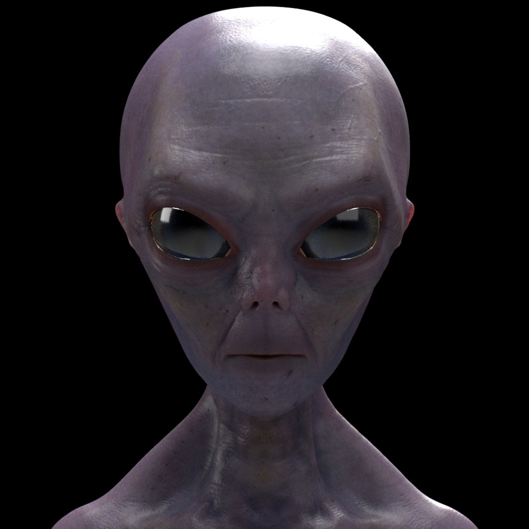 Grey Alien 3D Model - TurboSquid 1451396