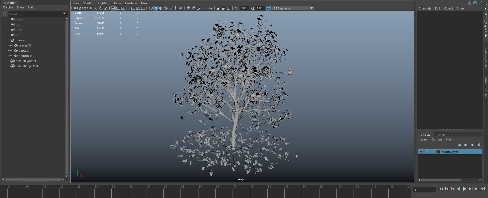 Punica Autumn Hight 3D Model - TurboSquid 1620646