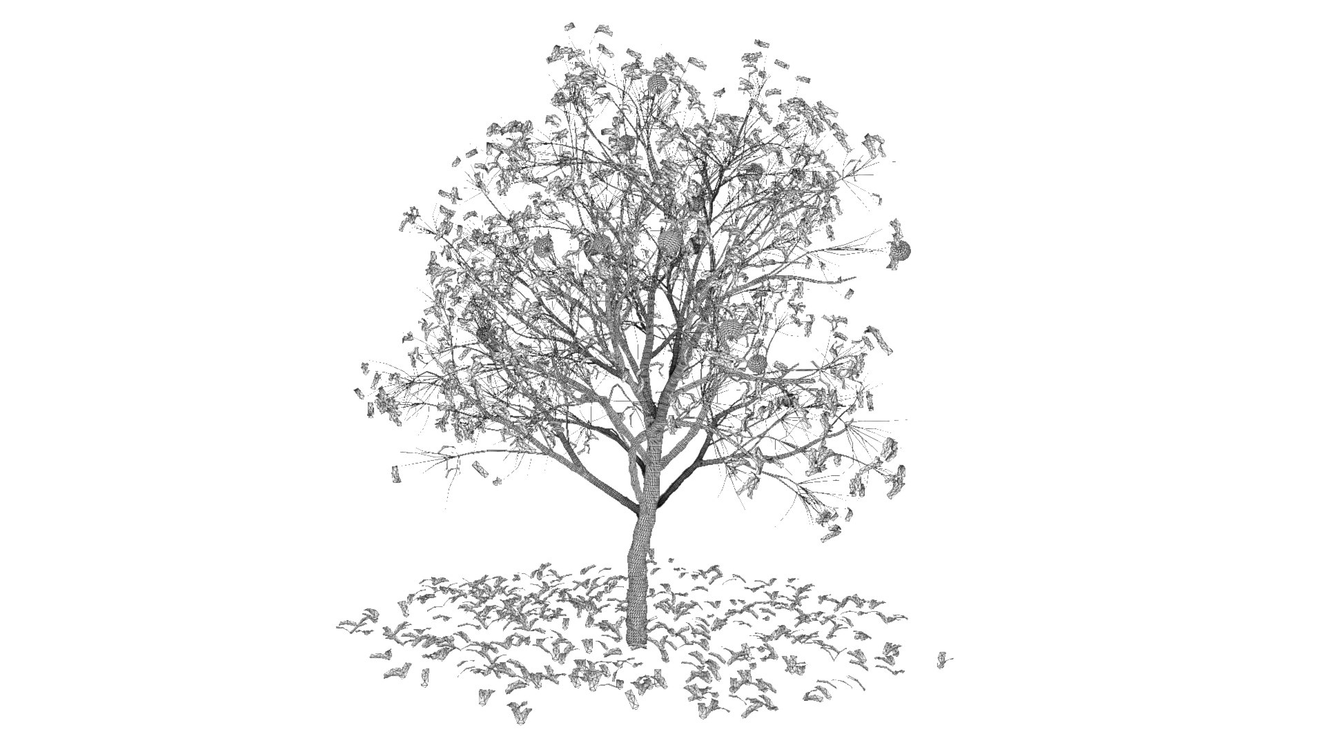 Punica Autumn Hight 3D Model - TurboSquid 1620646