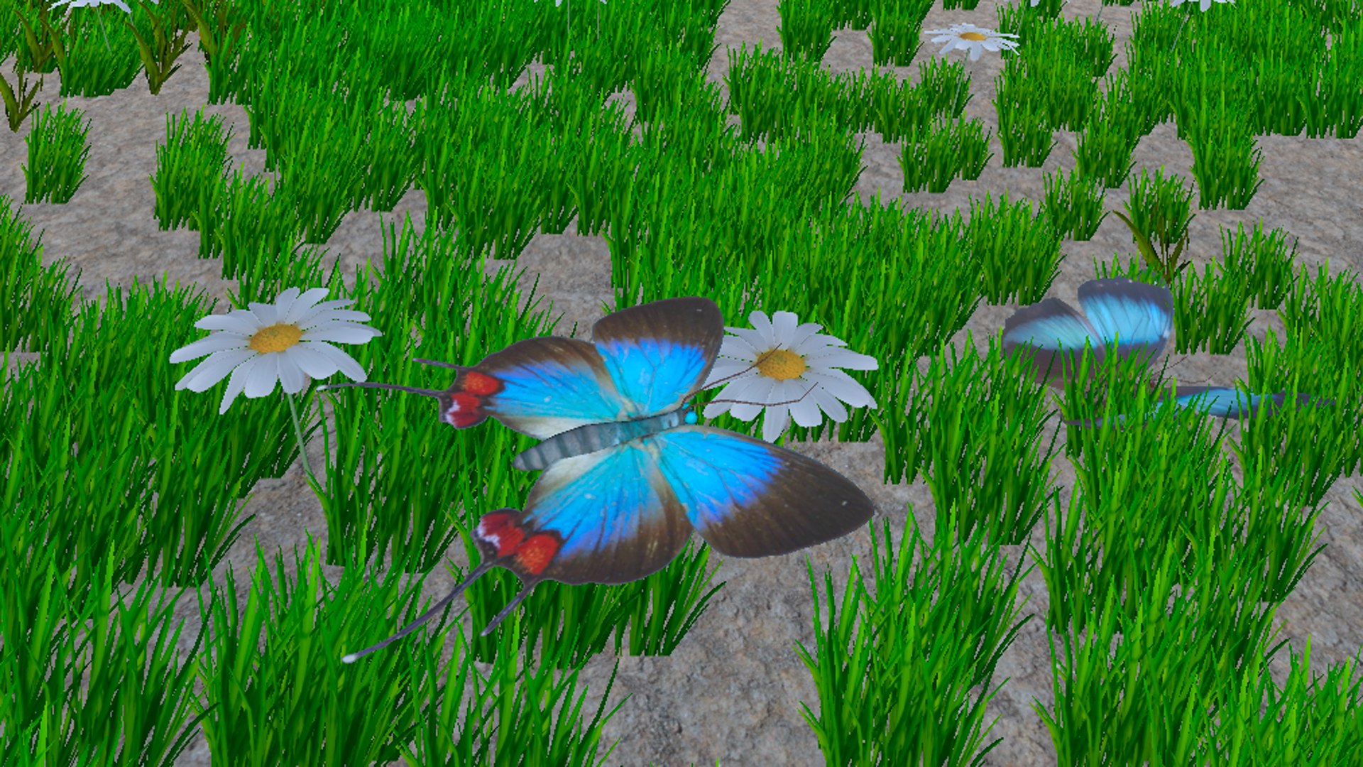 Vr Butterfly Flying Model - TurboSquid 1415513