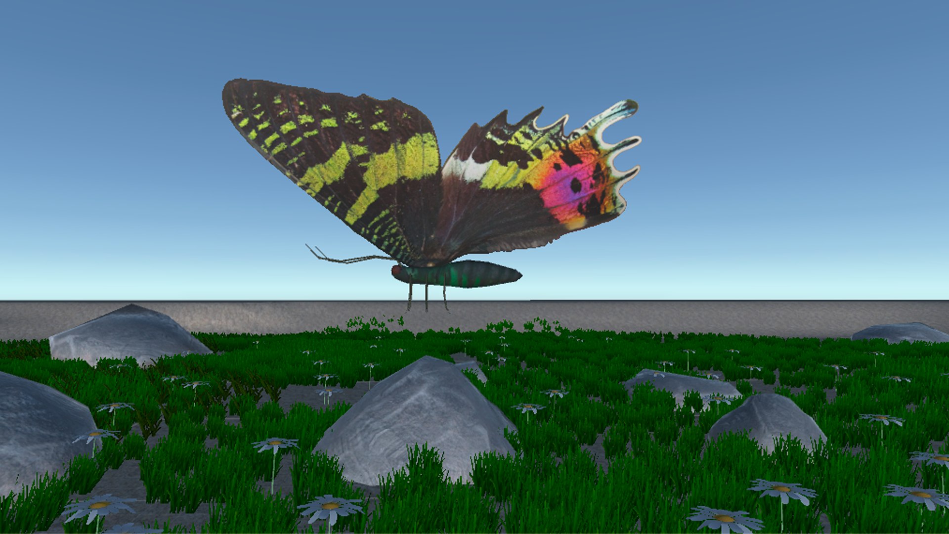 Vr Butterfly Flying Model - TurboSquid 1415513