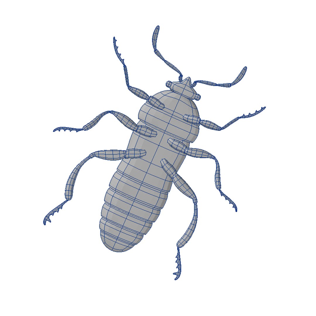 Chinch Bug Insect 3d Obj