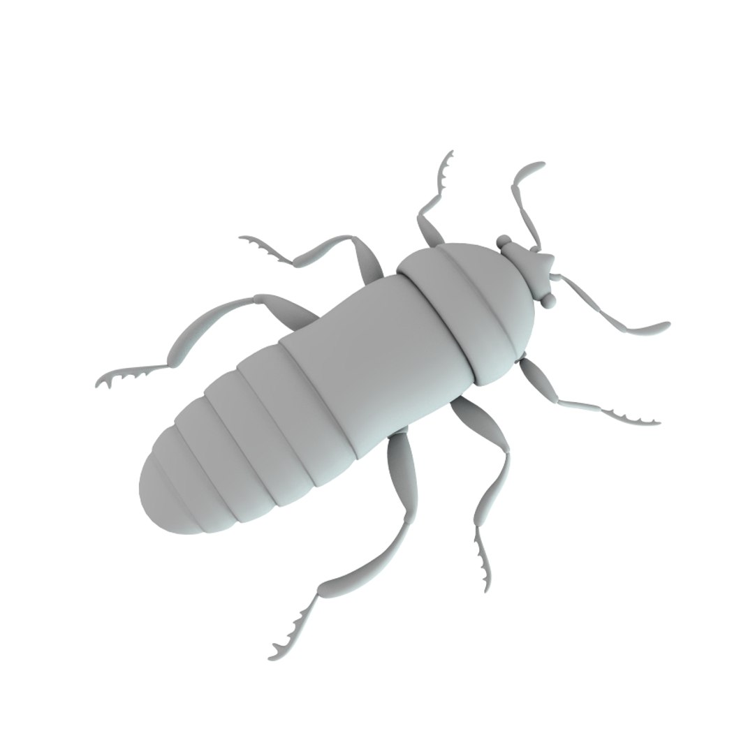 Chinch Bug Insect 3d Obj