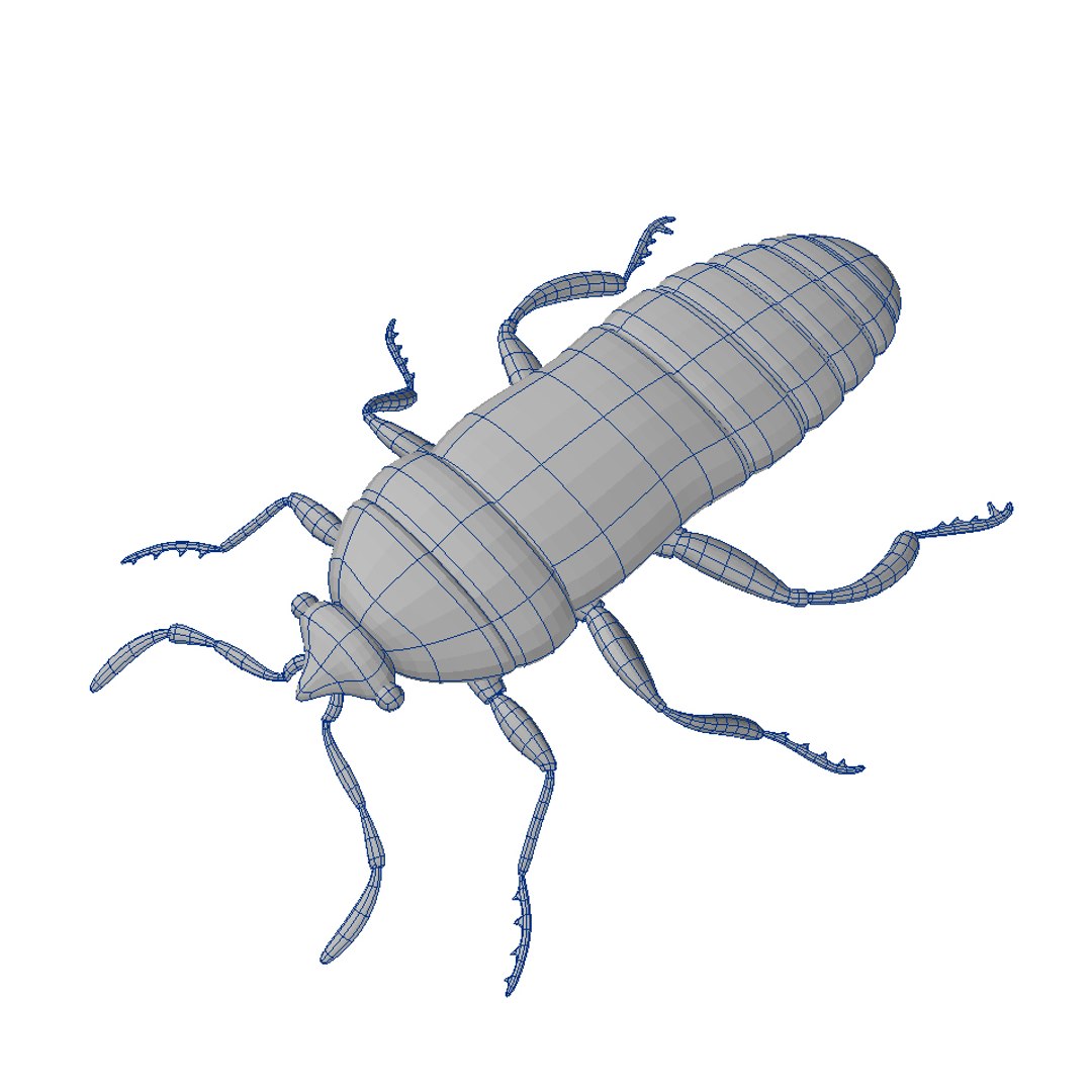 Chinch Bug Insect 3d Obj