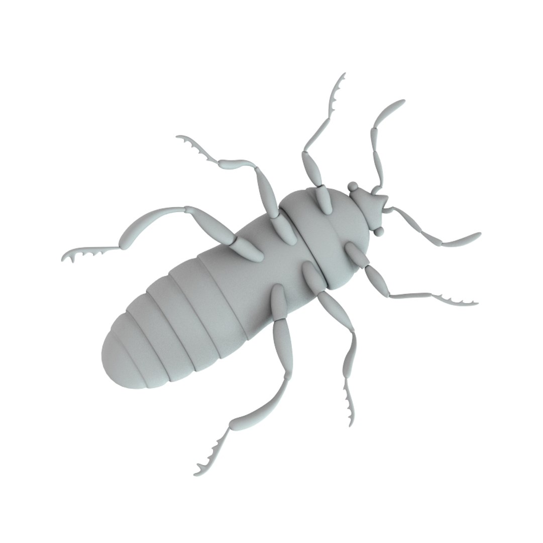 Chinch Bug Insect 3d Obj