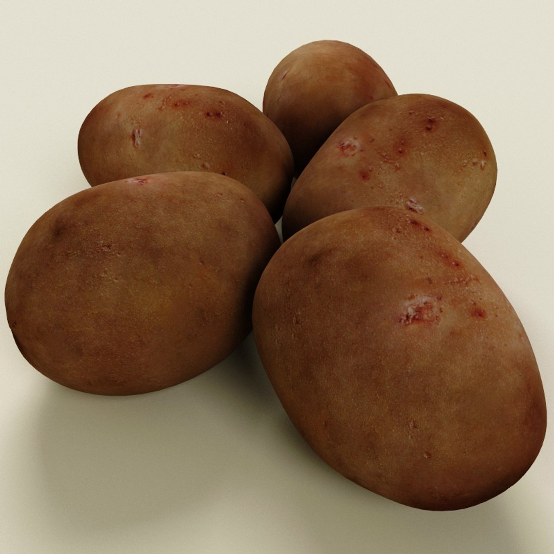3d Model Potato V1