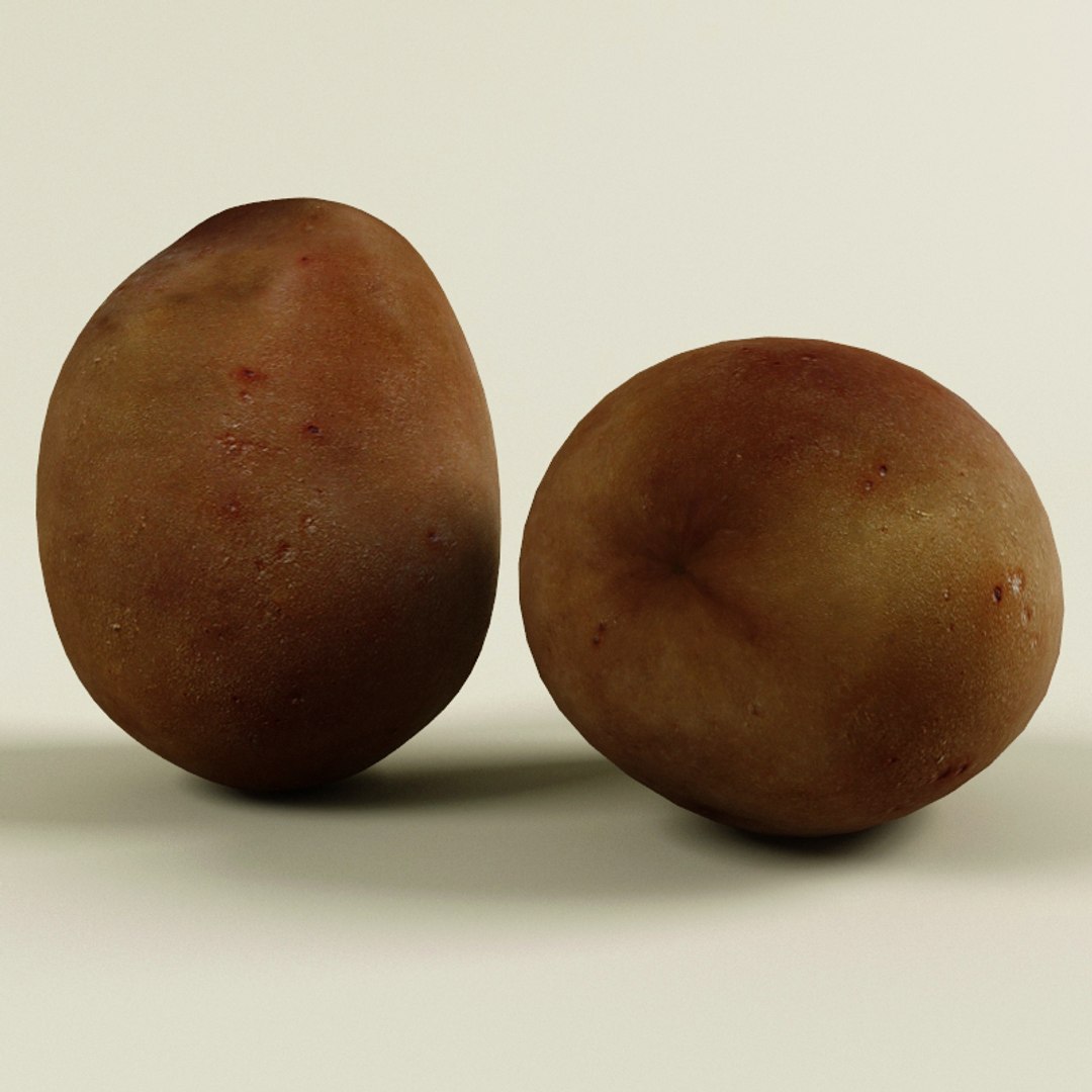 3d Model Potato V1