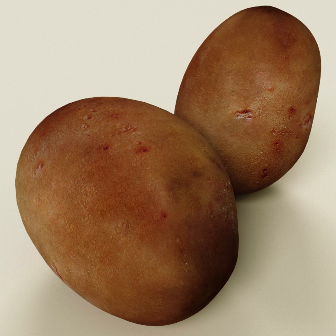 3d Model Potato V1