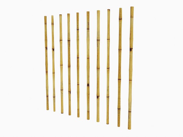 BAMBUS 3D-Modell - TurboSquid 966959