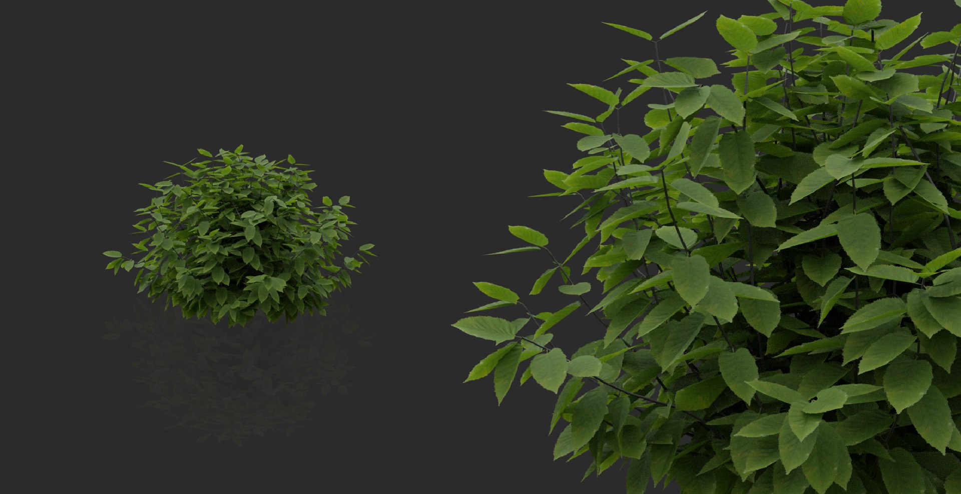 3D shrubs pack model - TurboSquid 1606016