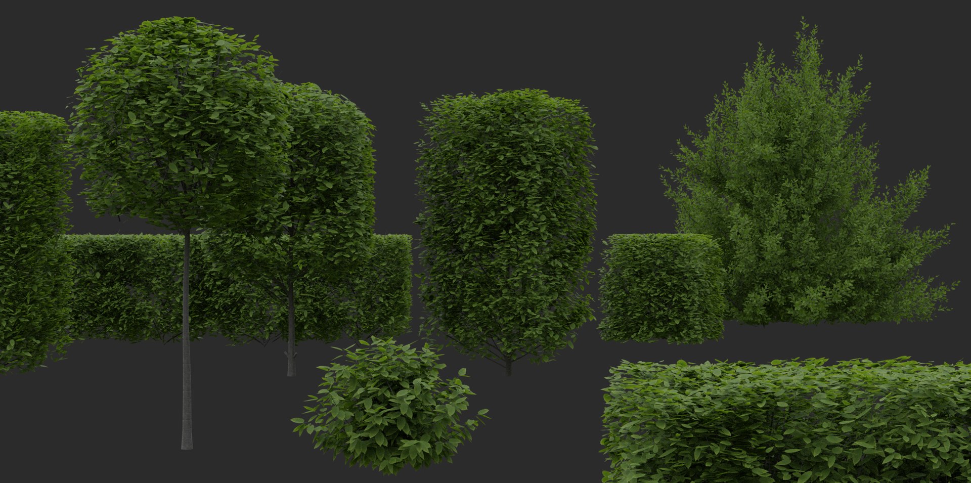 3D shrubs pack model - TurboSquid 1606016