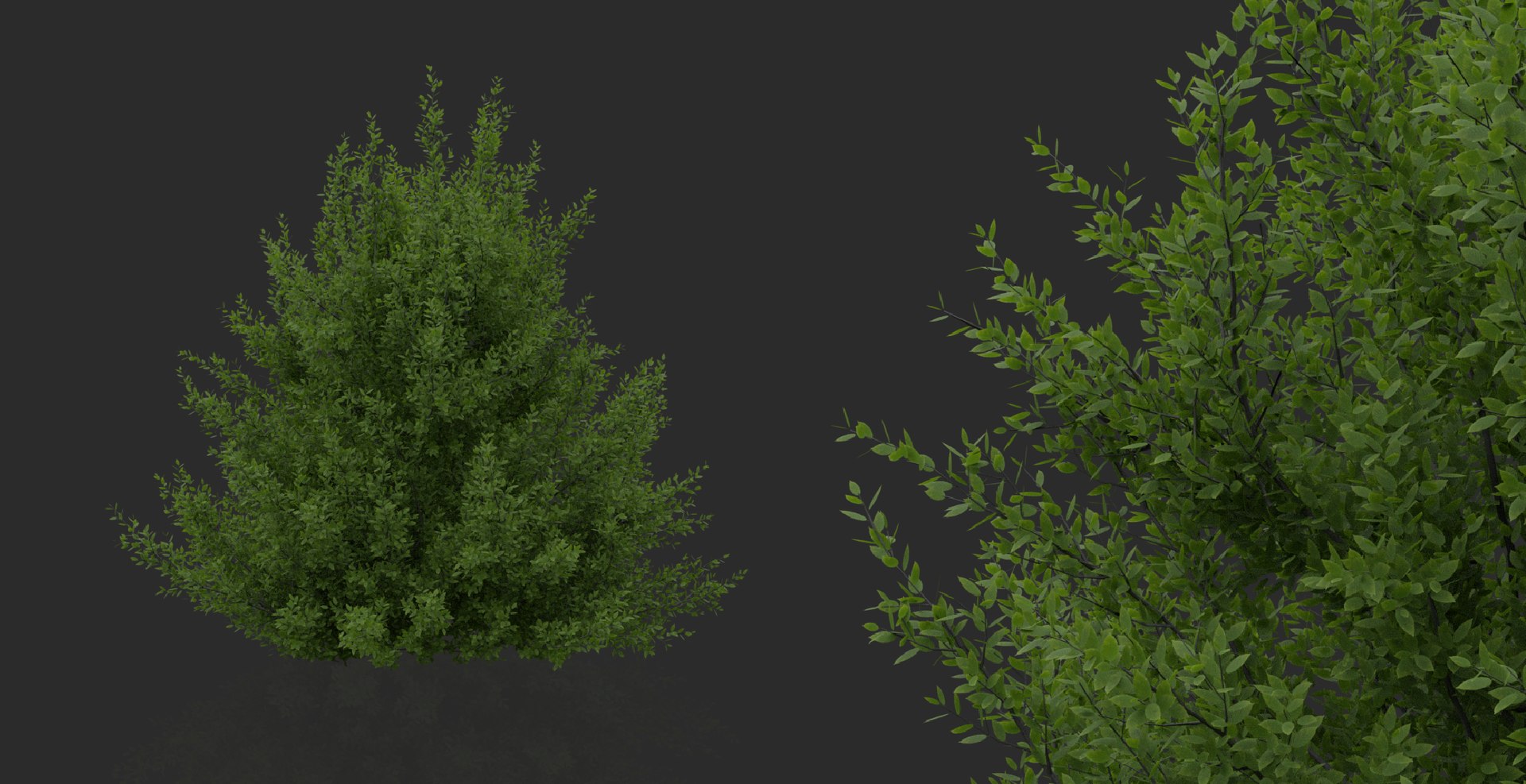 3D shrubs pack model - TurboSquid 1606016