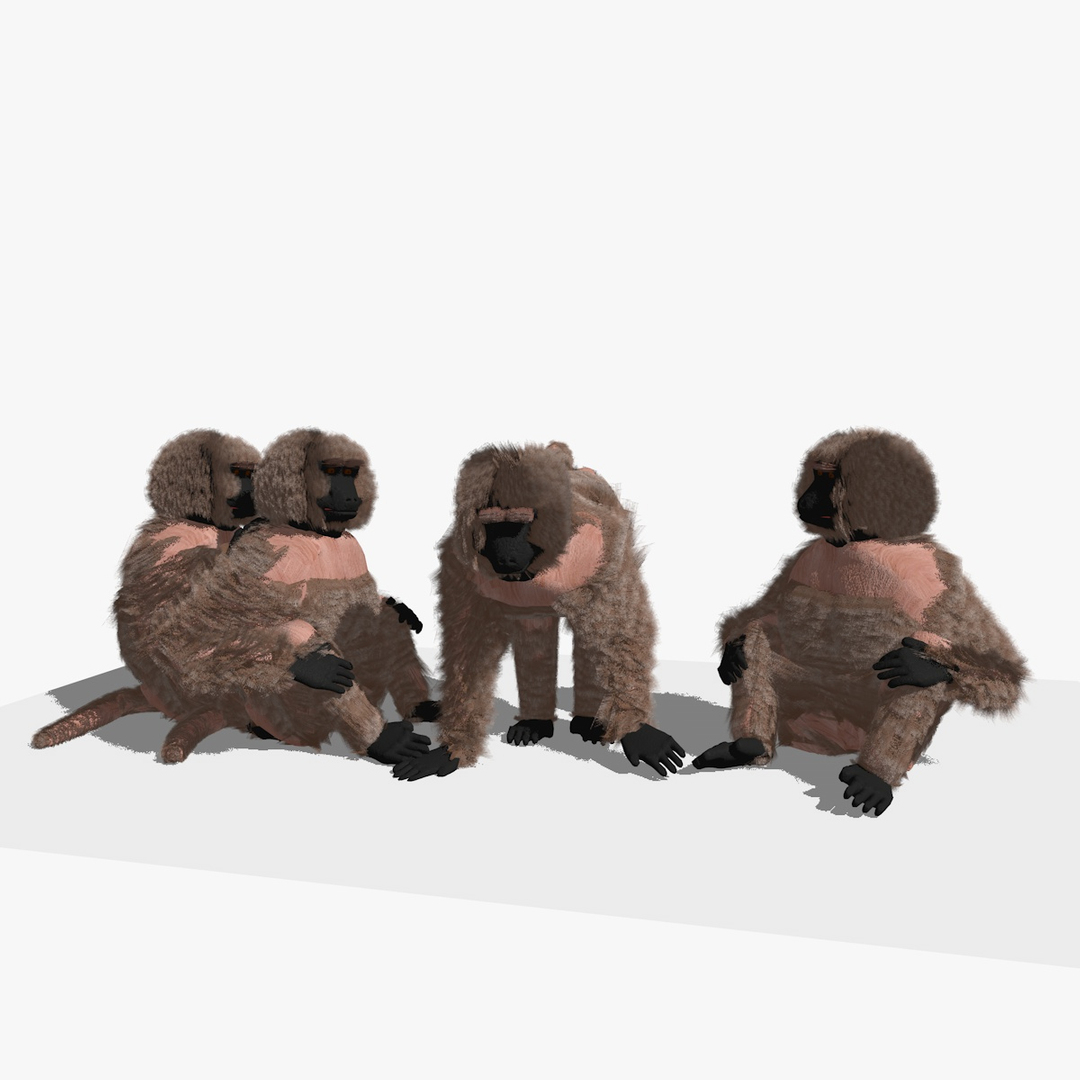 3D Baboons Grooming Animations Groups Model - TurboSquid 1376943