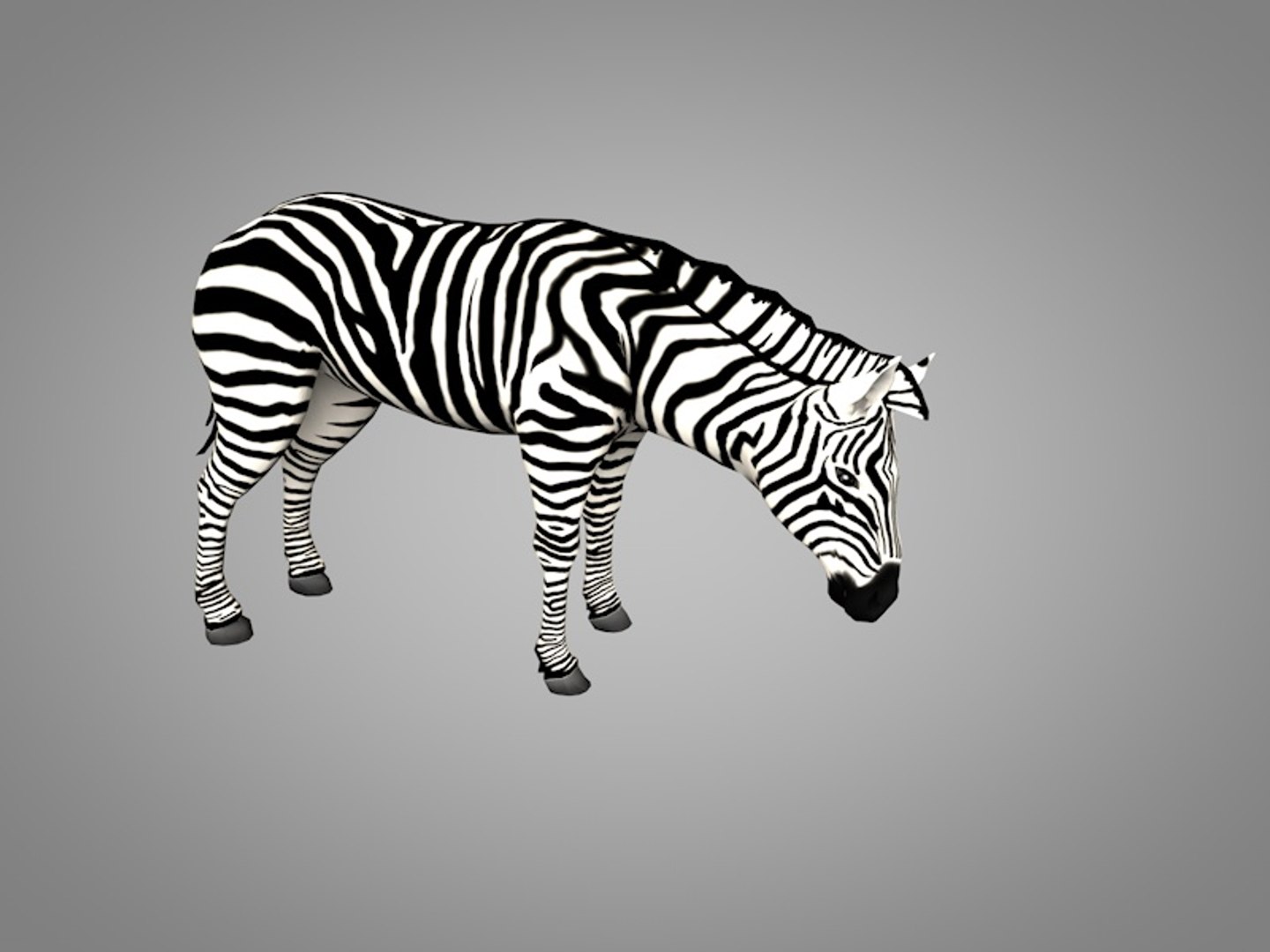 3D Model Zebra - TurboSquid 1170334