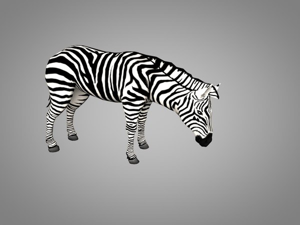 Des Modèles Animé de 3D Zèbre à Télécharger | TurboSquid