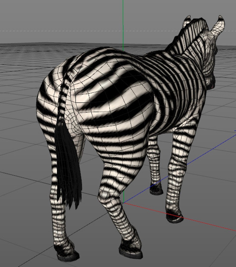 3D Model Zebra - TurboSquid 1170334
