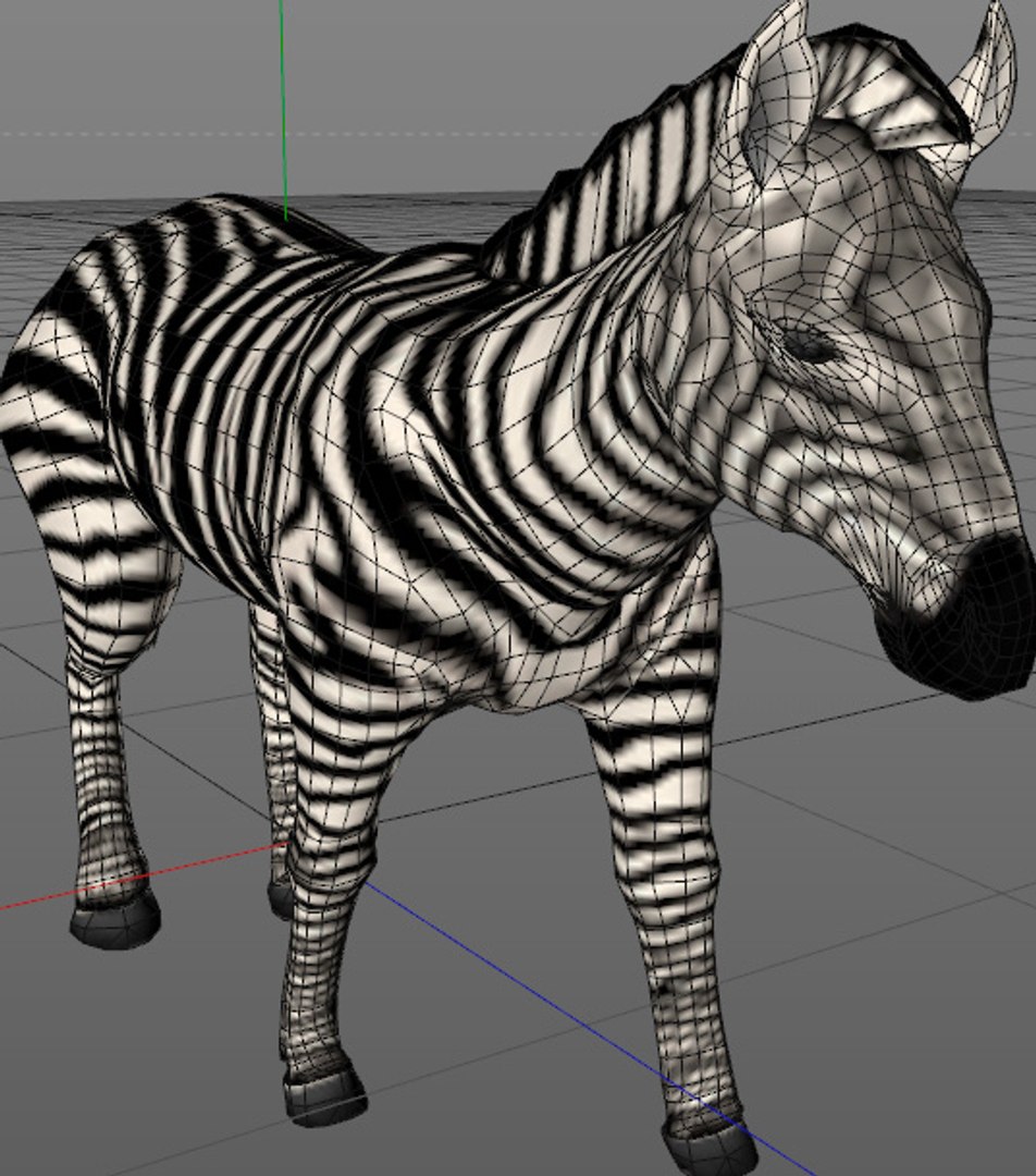 3D Model Zebra - TurboSquid 1170334