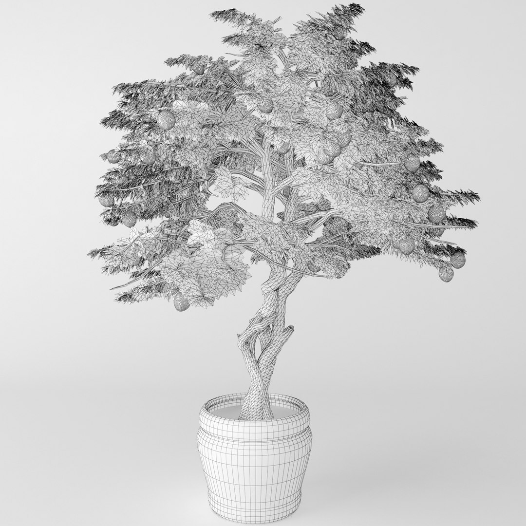 Lemon Tree 3d Max
