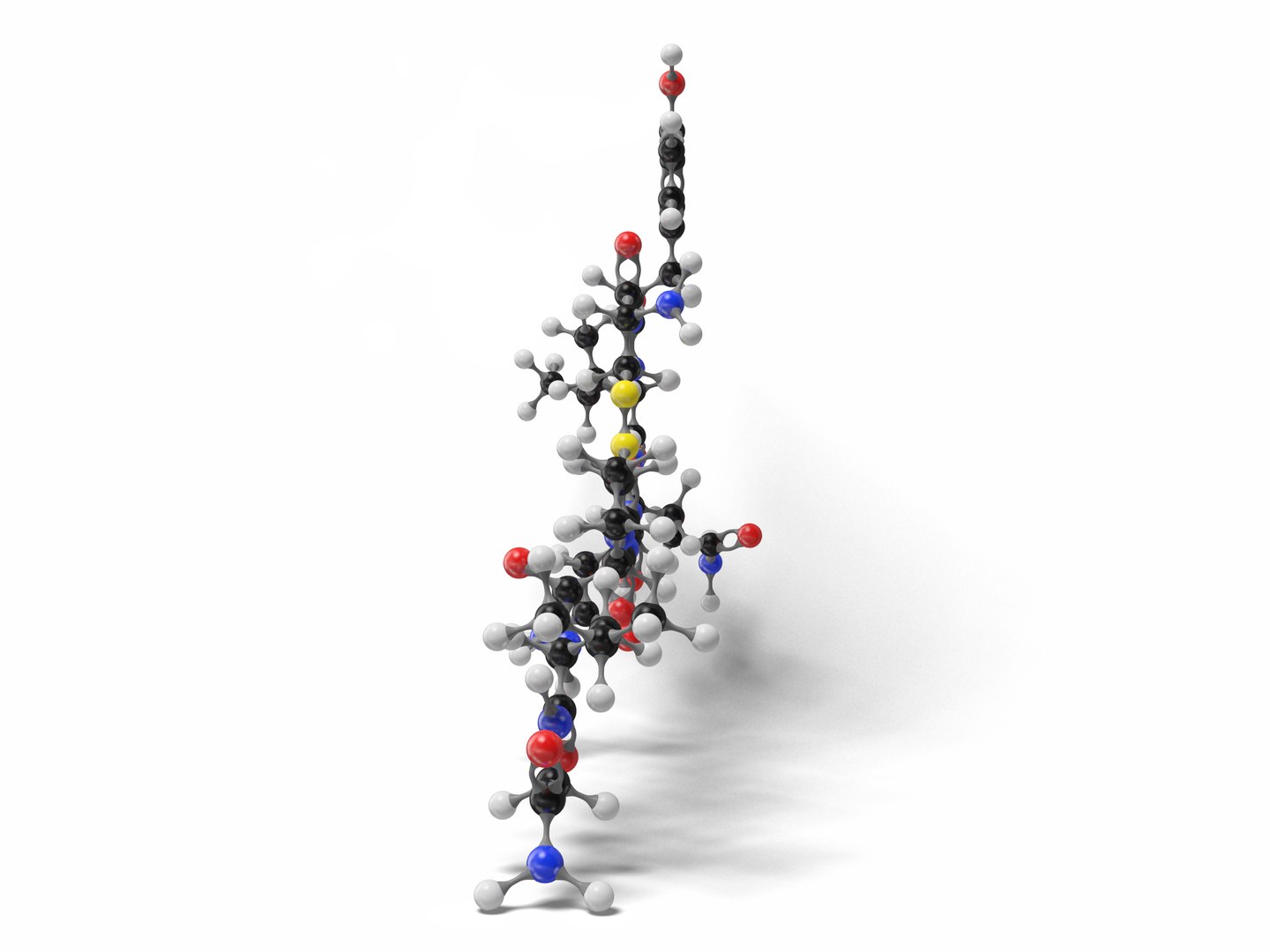 3D Oxytocin Molecule Modeled - TurboSquid 1569684