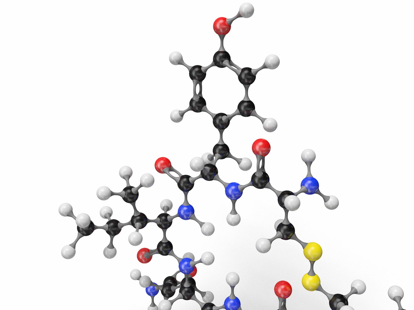 3D Oxytocin Molecule Modeled - TurboSquid 1569684