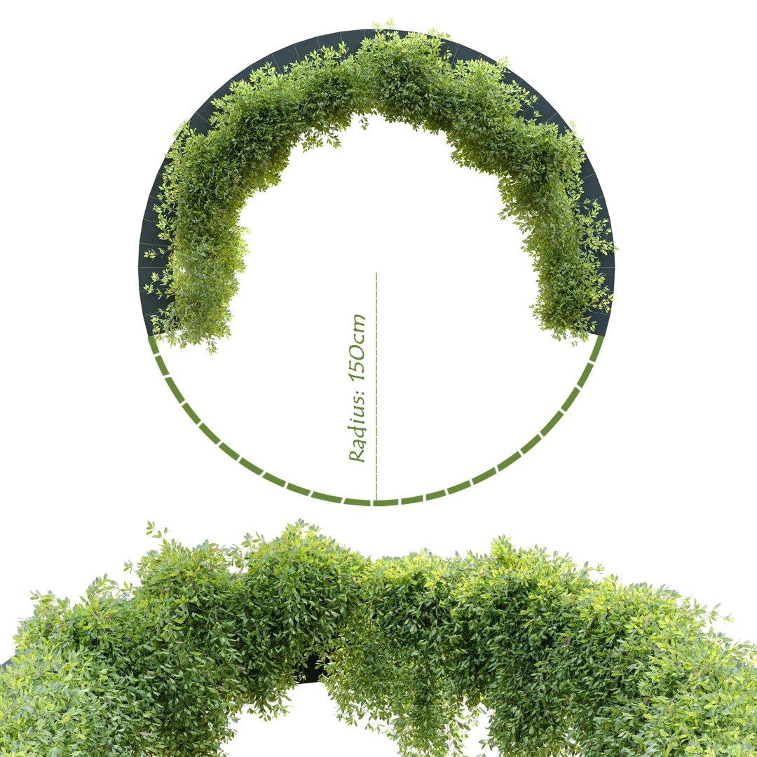 Circular Shaped Ivy Model - TurboSquid 1955880